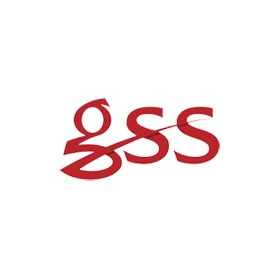 GSS Multi-Usage Utility, Incident Command Vest | DiVal Safety Equipment